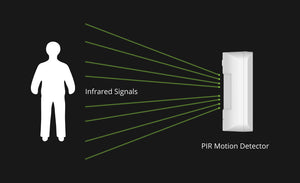 2024 Guide to PIR Sensors: Optimal Use and Key Performance Insights